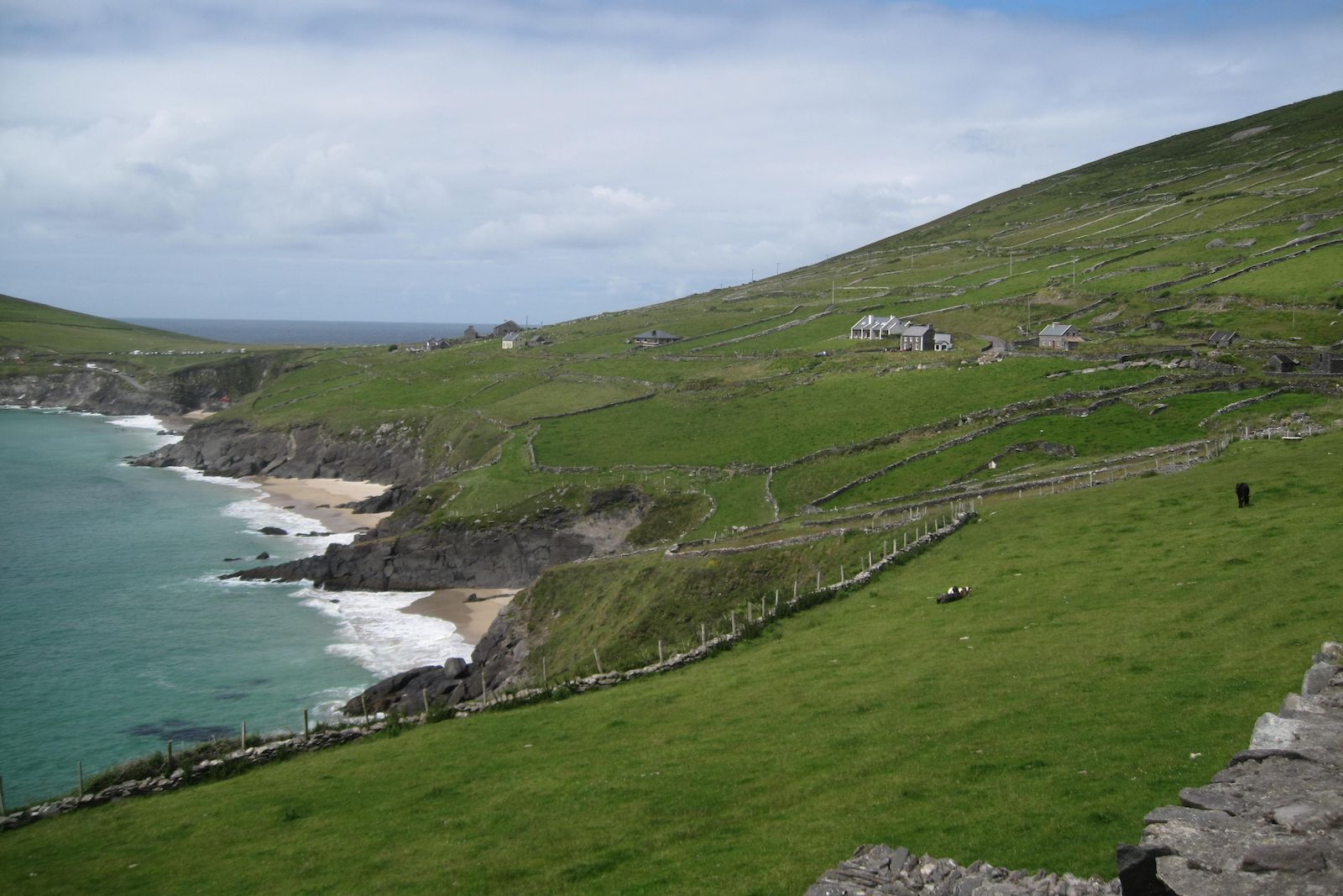 Blasket Islands Information Daily ferries shortest trip from Dunquin Pier